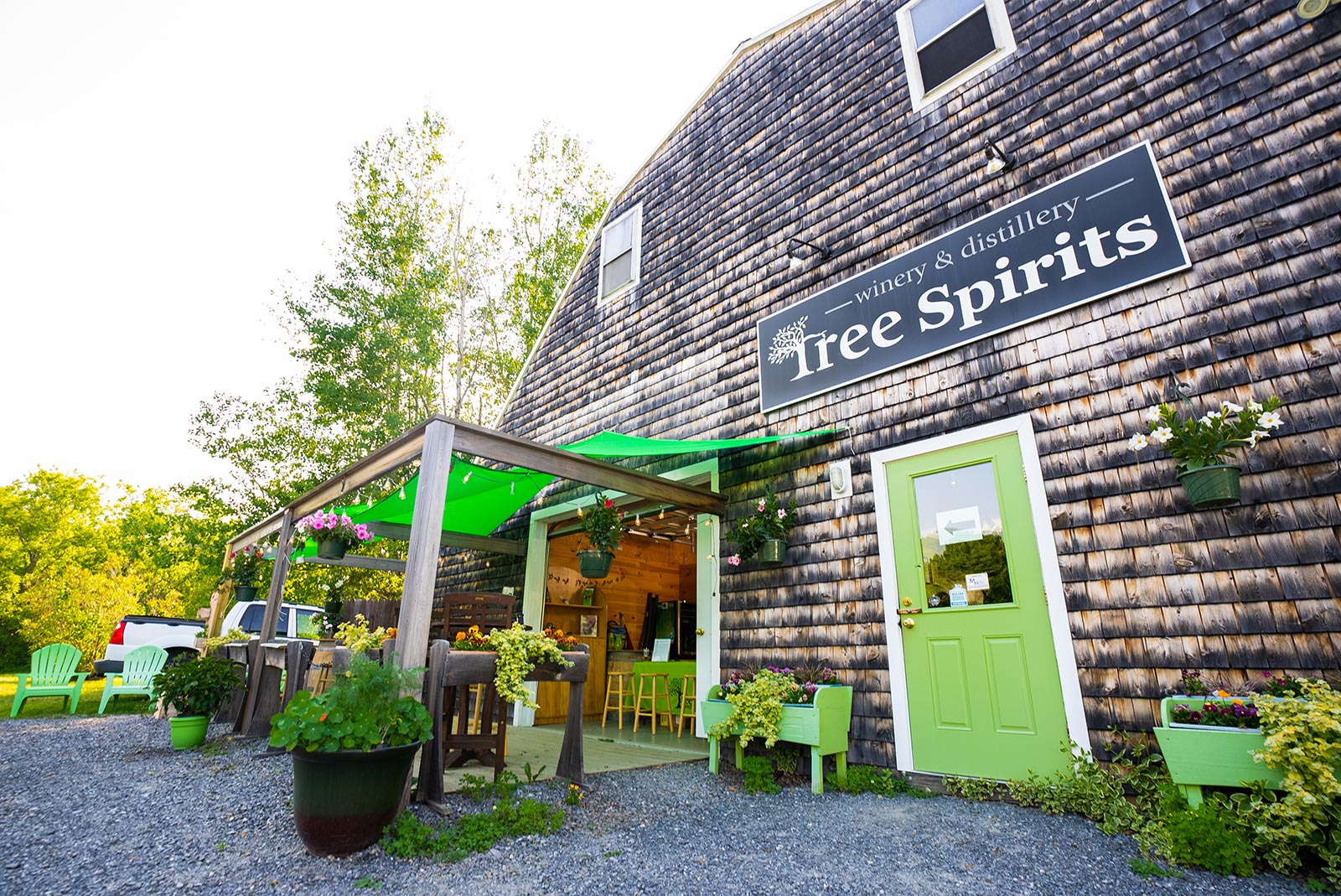 Contact Us | Tree Spirits